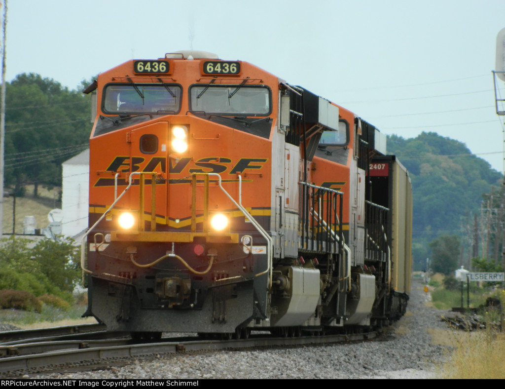 Elephant Style Out Of The Siding